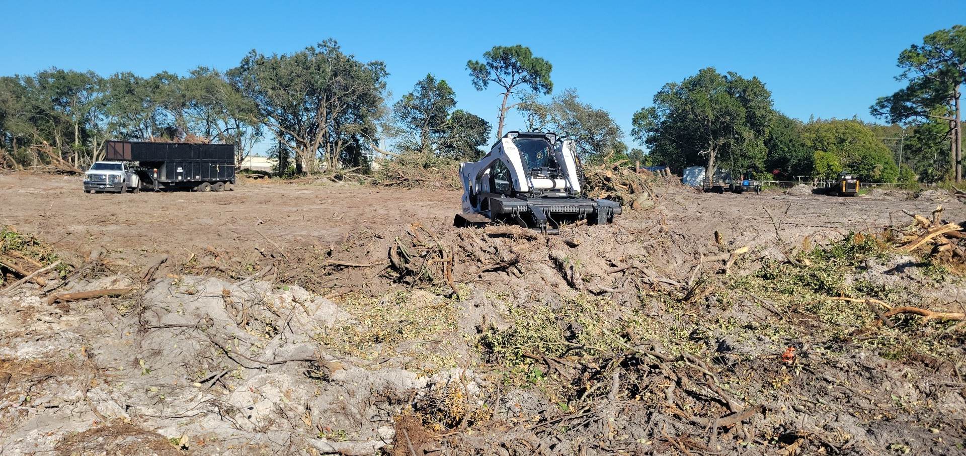 Land Clearing - Sons Of David Land Services
